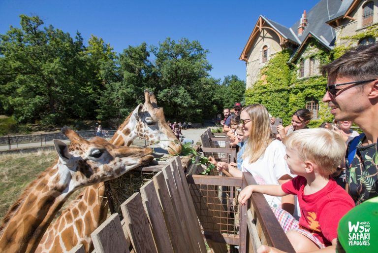 Safari De Peaugres Tarif Rãduit