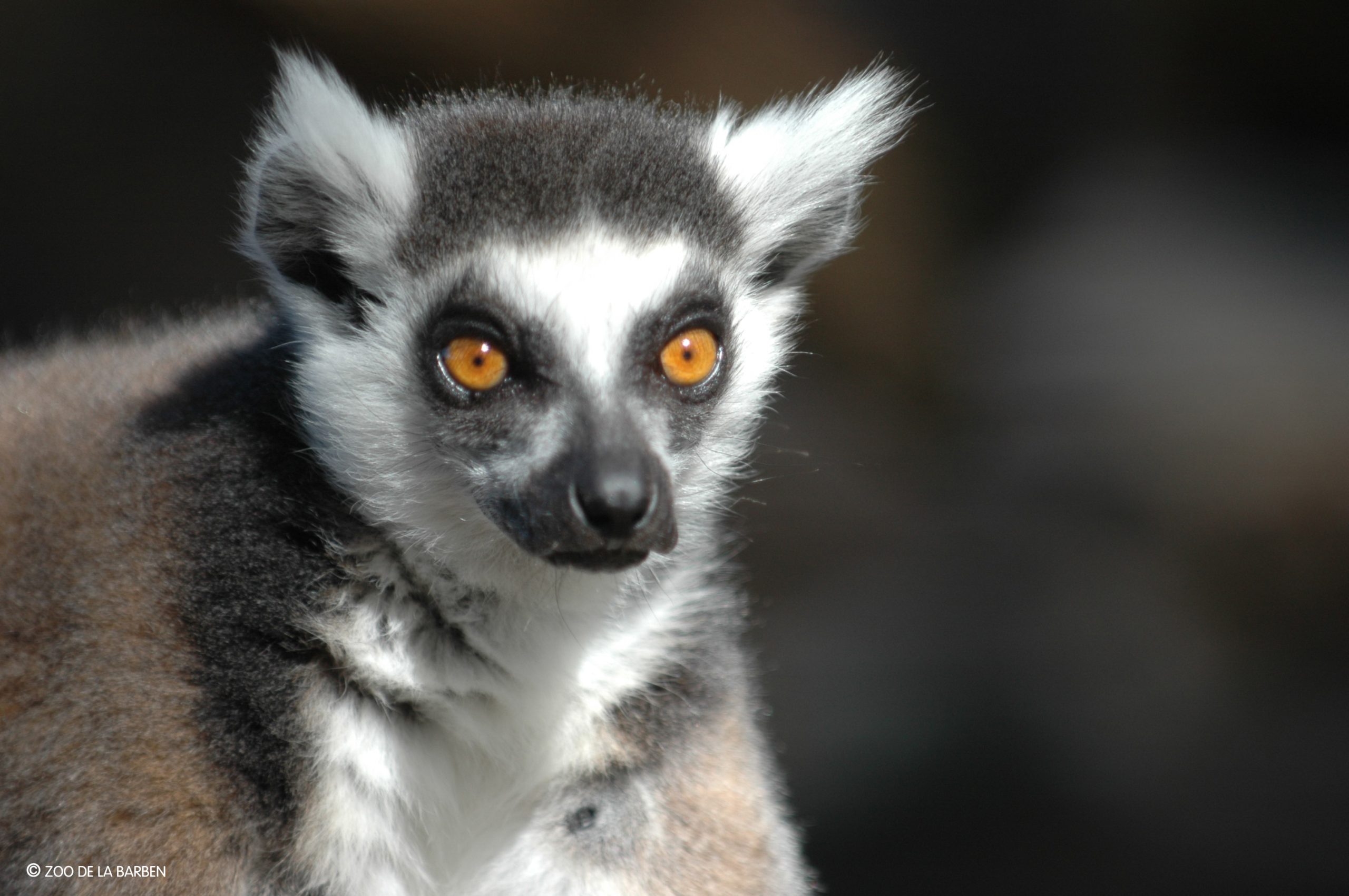 Zoo de La Barben : billets, tarifs, ouverture, accès, plan