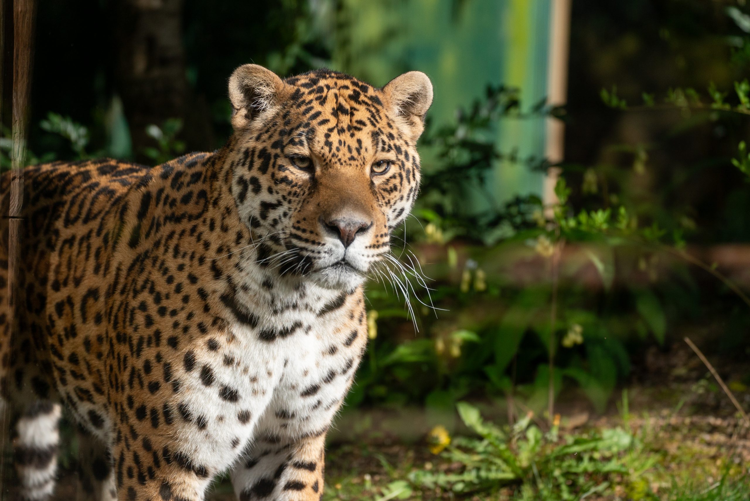 Visite du Zoo d'Amnéville : tarifs, horaires et infos utiles