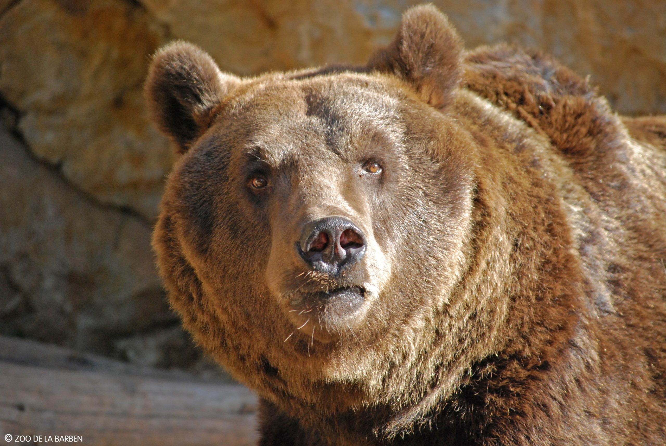 Zoo de La Barben : billets, tarifs, ouverture, accès, plan