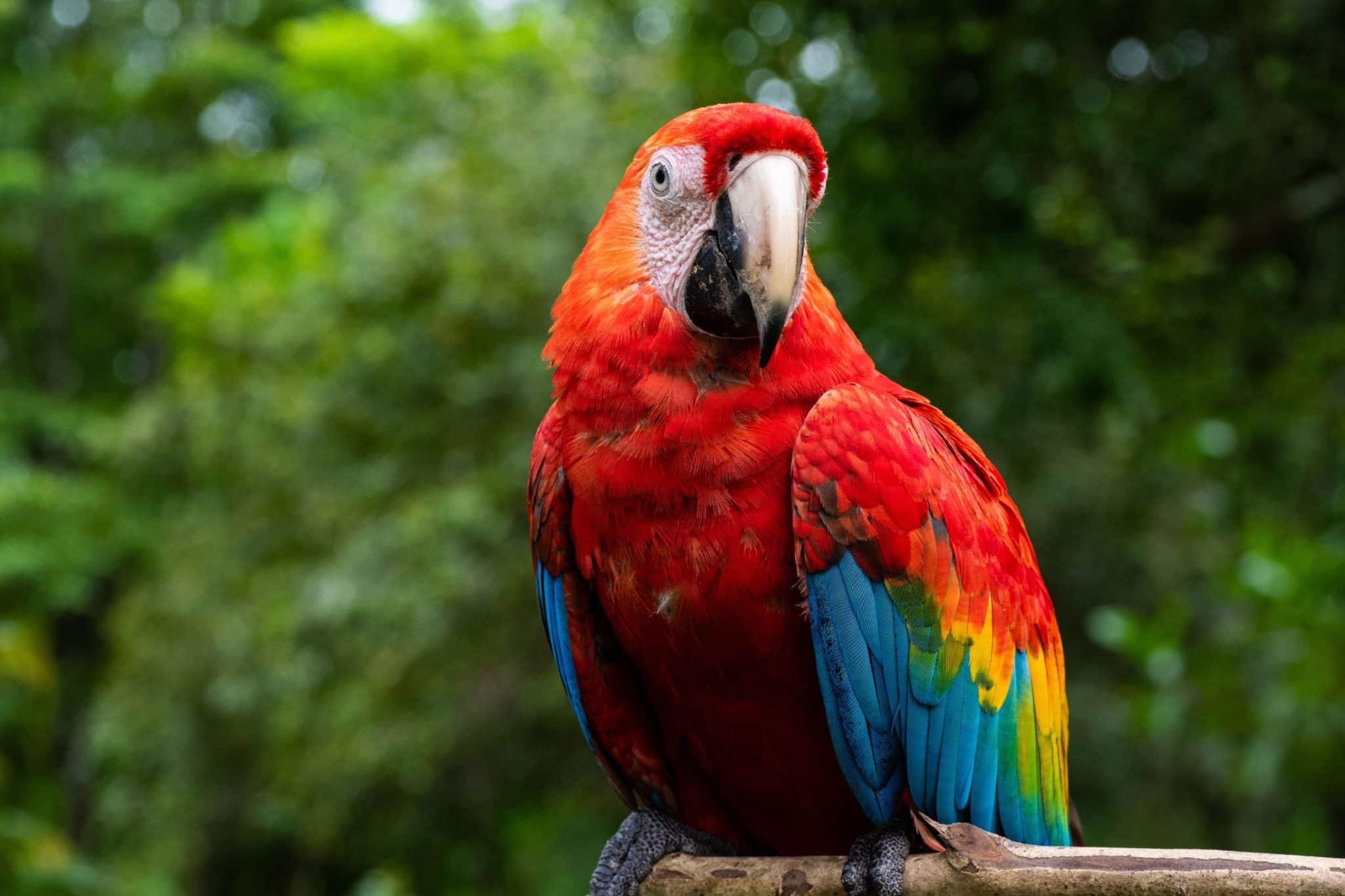Visiter le Zoo de la Palmyre | Tarifs, horaires, conseils