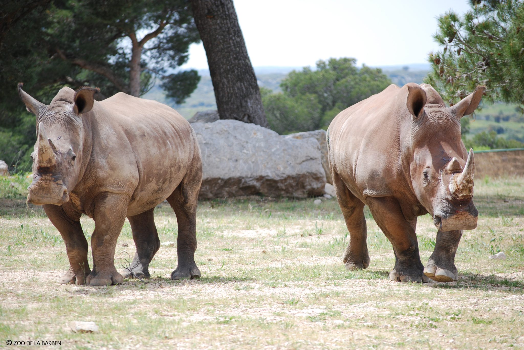Zoo de La Barben : billets, tarifs, ouverture, accès, plan