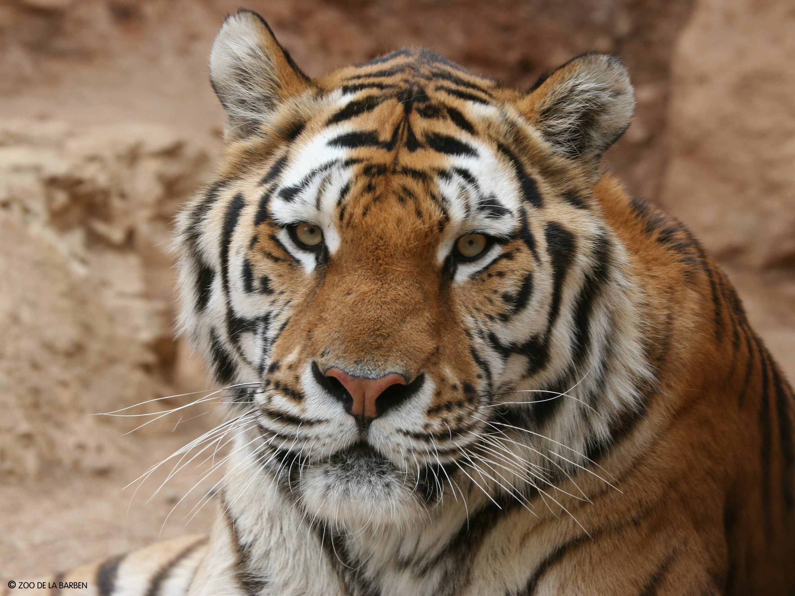 Zoo de La Barben : billets, tarifs, ouverture, accès, plan